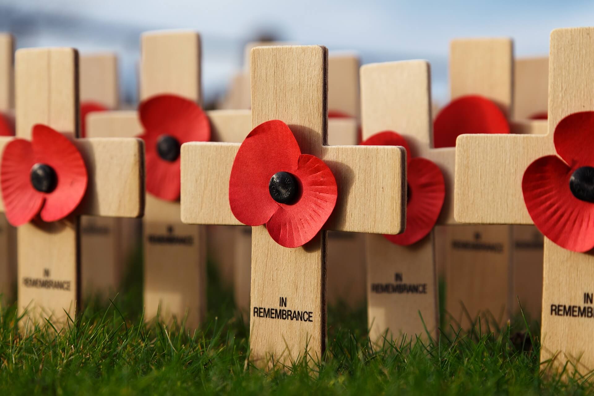 Remembrance Day: Um feriado para prestar homenagens - Immi Canada